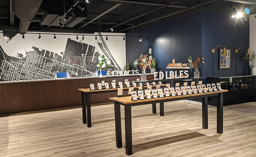 CBD Oil Hamilton - My CBD Story